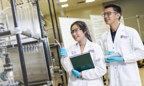 School of Chemistry, Chemical Engineering and Biotechnology (CCEB ...