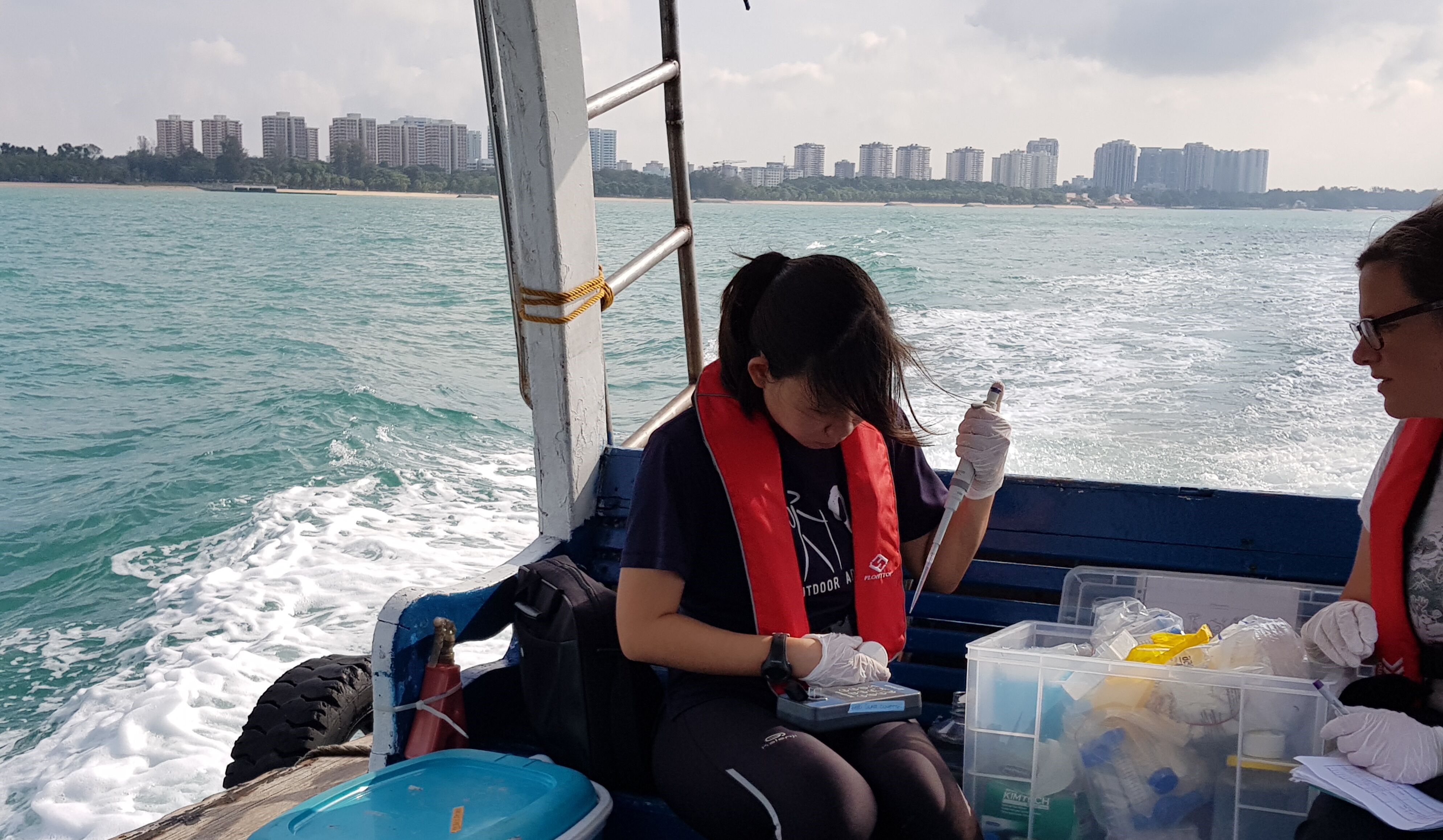 Our Programmes | The Asian School of the Environment | NTU Singapore