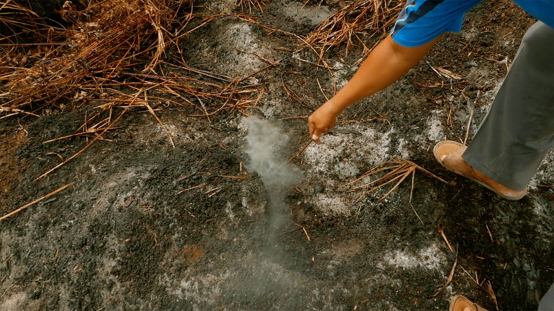Peat, Palm, Haze documentary selected for top environmental film ...