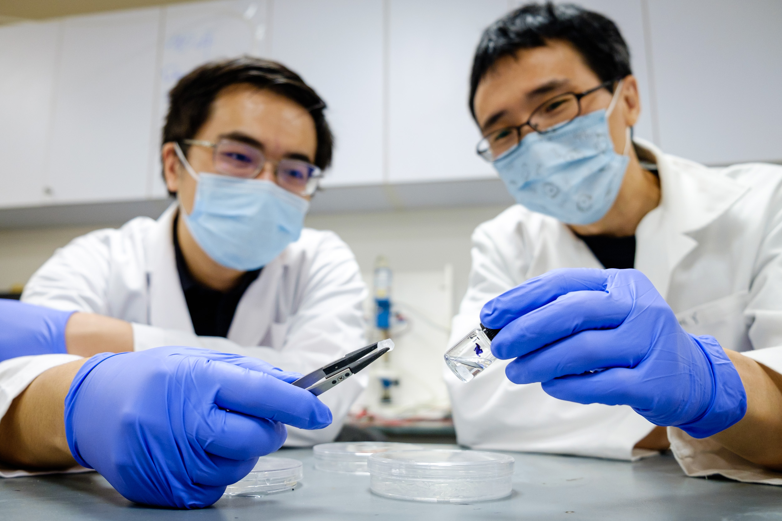 Flexible crystal for more efficient bendable electronics | NTU Singapore