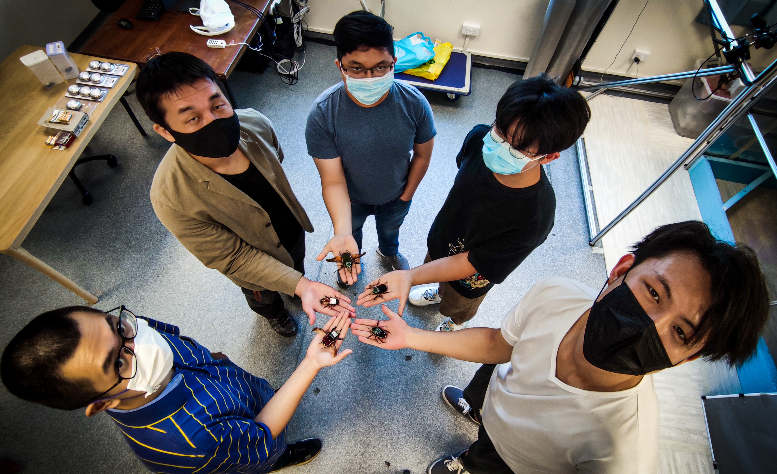 Researchers turn cockroaches into cyborg insects for search and rescue ...