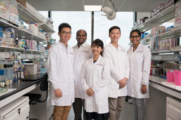 Doctor of Philosophy | Medicine | NTU Singapore