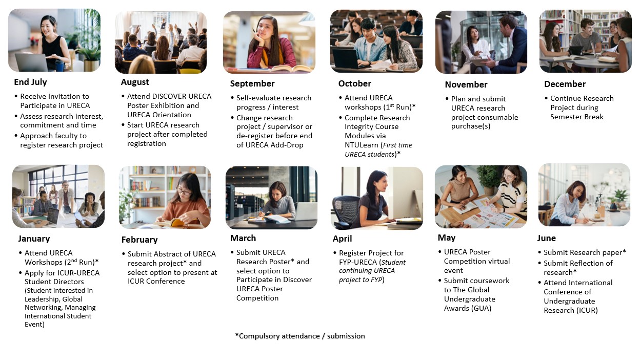 Programme Overview | NTU Singapore