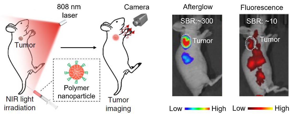 Polymer Nanoparticles for Real-time Molecular Imaging| Nanyang ...
