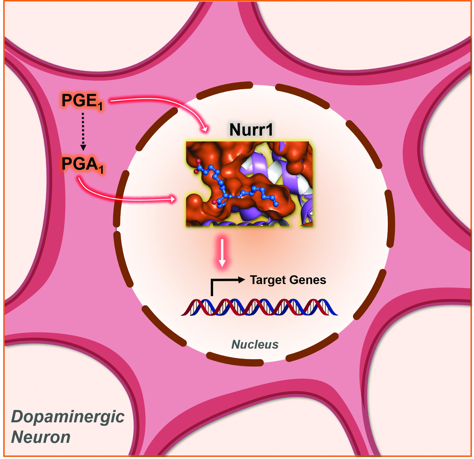 New NURR-ledge about Parkinson's disease | Research | NTU Singapore
