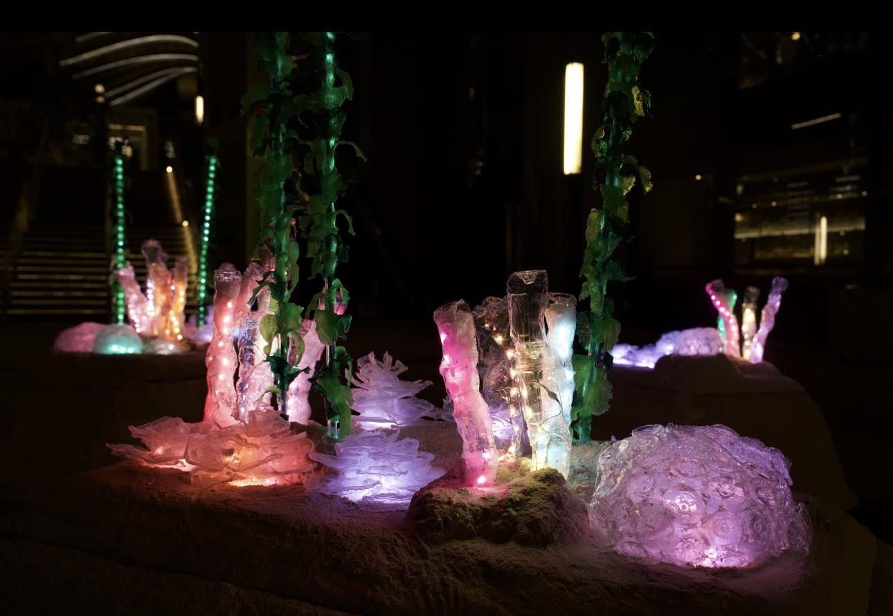 NTU ADM Students Feature in i Light Singapore 2023 – A New Wave ...