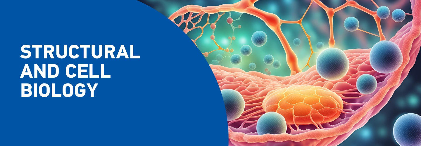 Structural and Cell Biology| NTU SBS | School of Biological Sciences ...