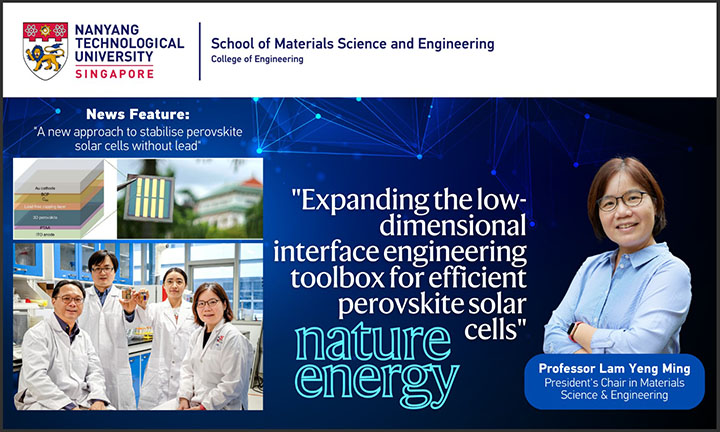 A New Approach to Stabilise Perovskite Solar Cells Without Lead - Prof Lam Yeng Ming & Prof Sum ...
