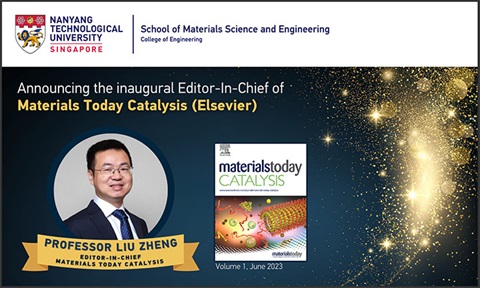 Winner of RSC's 2023 Materials Chemistry Horizon Prize: Stephanie L ...