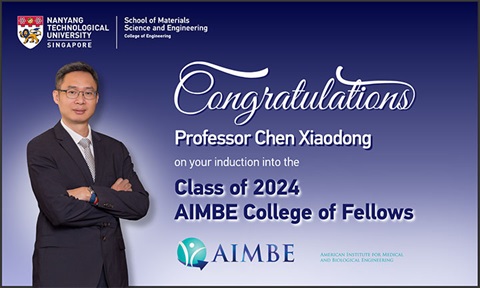 Nature Paper - Professor Chen Xiaodong | School of Materials Science and Engineering | NTU Singapore