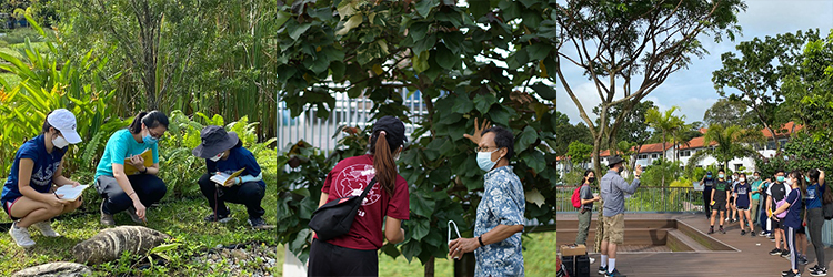 Introduction to our undergraduate programmes | The Asian School of the ...