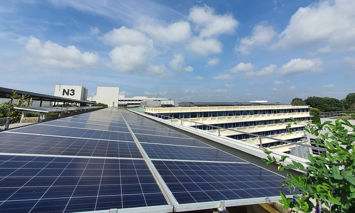 Different disciplines, same sustainable goals | Alumni | NTU Singapore