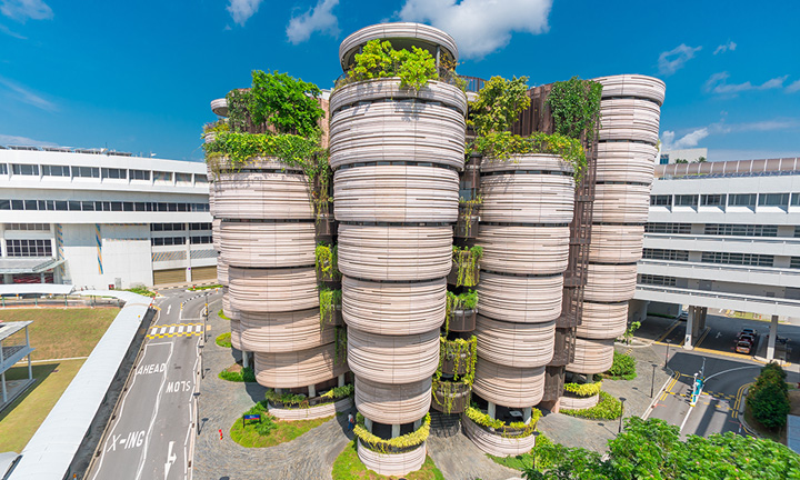 NTU Then and Now | Alumni | NTU Singapore