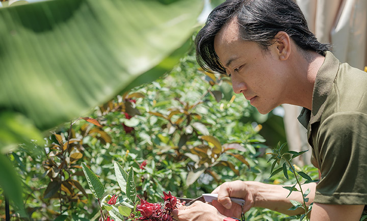 Raising the roof on homegrown crops | Alumni | NTU Singapore