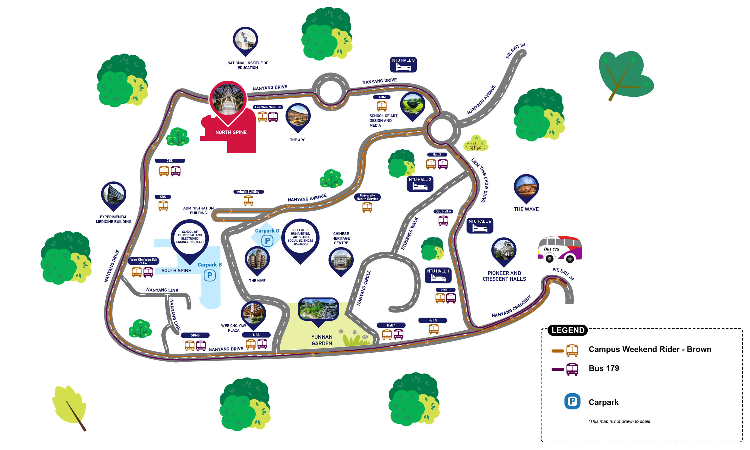 NTU Alumni Homecoming | Alumni | NTU Singapore