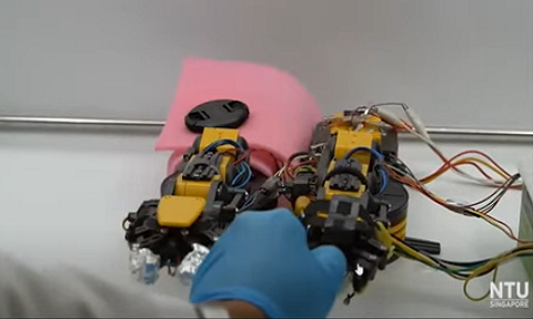 IAS NTU News & Events | Institute of Advanced Studies | NTU Singapore