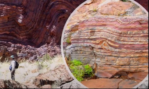 IAS NTU News & Events | Institute of Advanced Studies | NTU Singapore