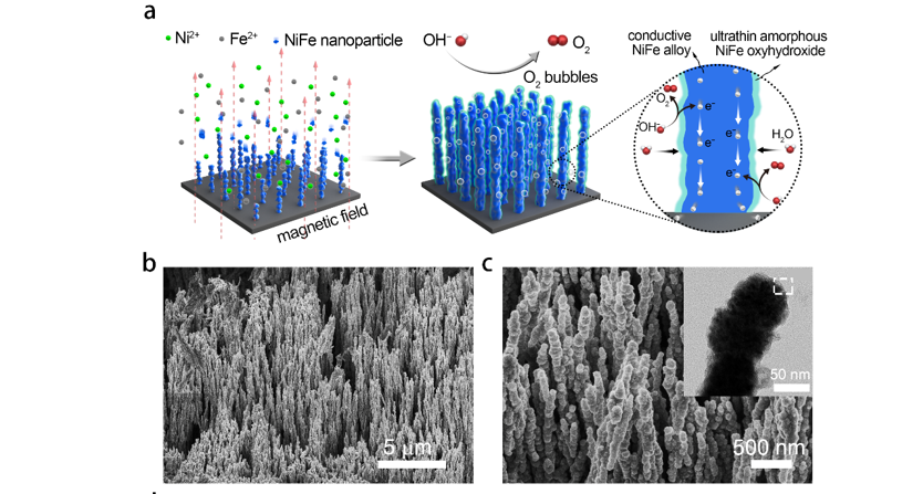 Nano Forest for Efficient Water Splitting | Institute of Advanced ...