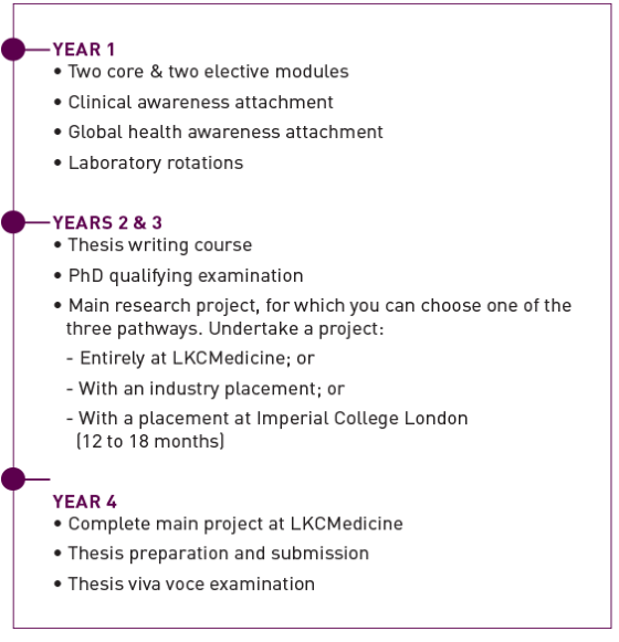 Curriculum | Lee Kong Chian School of Medicine | NTU Singapore