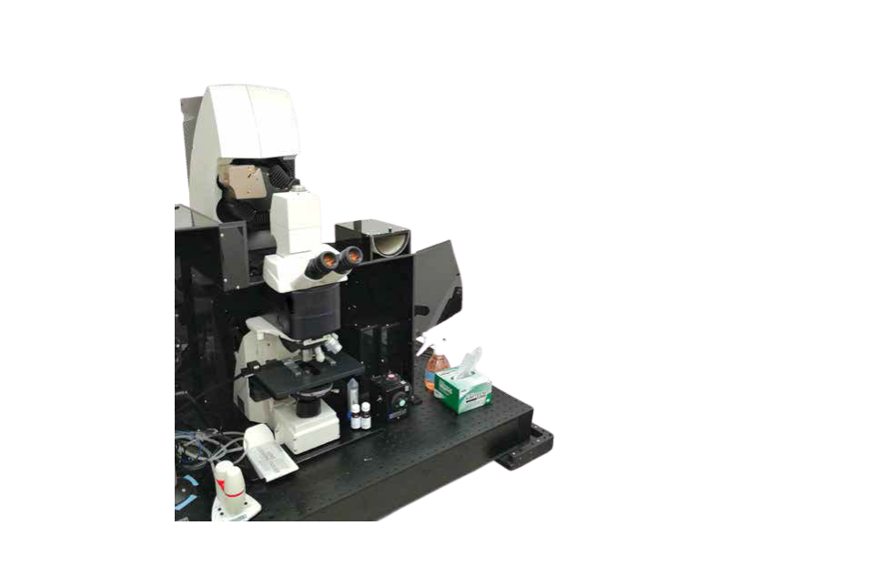 Upright Confocal Microscope - SP8 | Lee Kong Chian School of Medicine ...