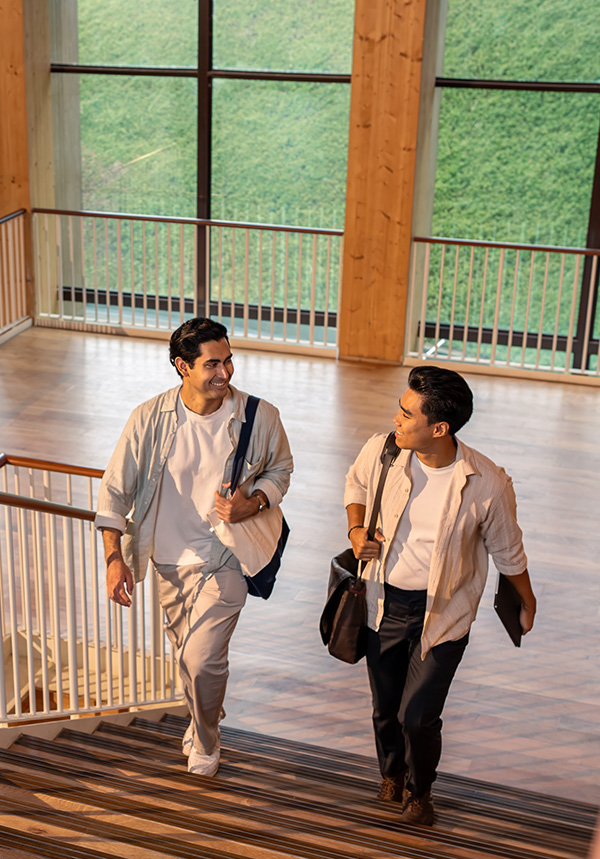 Bachelor of Business (BBus) - Programme Structure and Duration ...