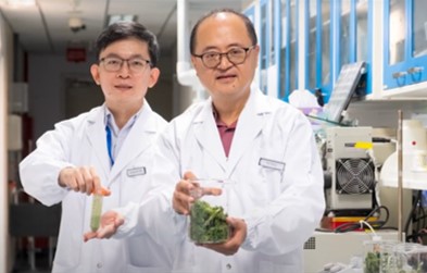 Turning kale waste into treasure | Nanyang Environment & Water Research ...