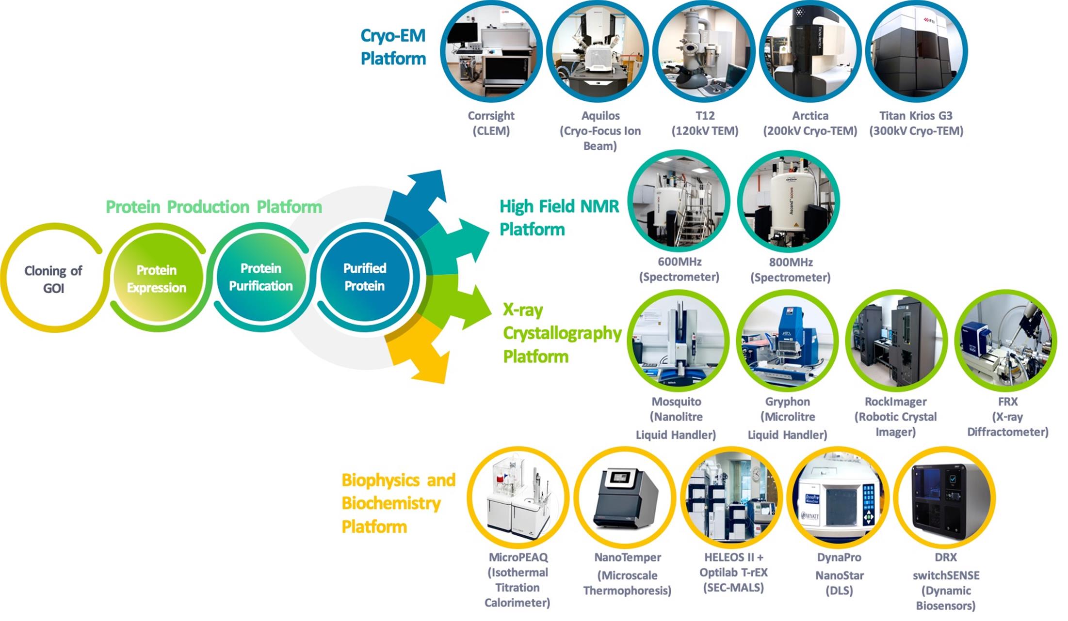 NISB Research Platforms | NTU Institute of Structural Biology | NTU ...