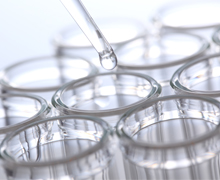 Bachelor of Science in Biological Sciences with Second Major in ...