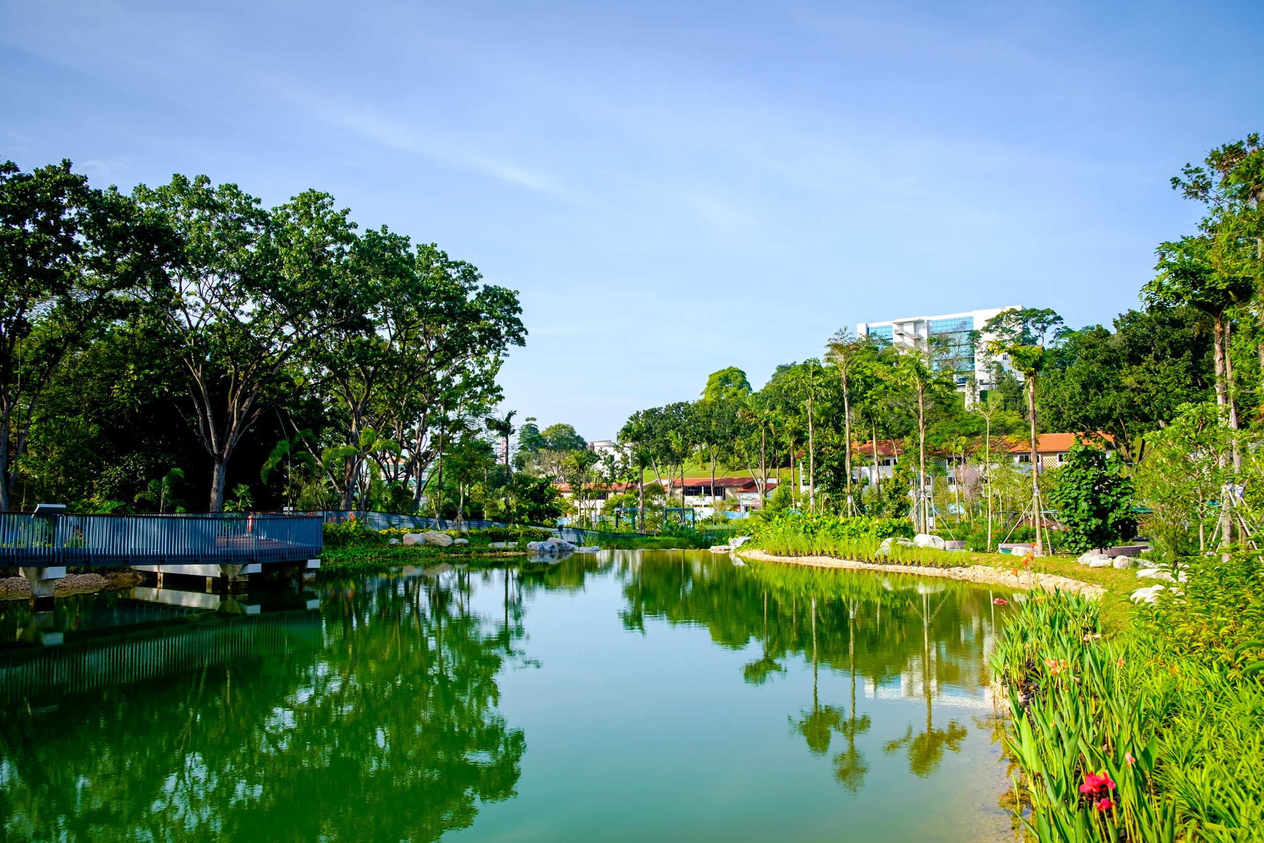 Meet Our Team | NTU Singapore