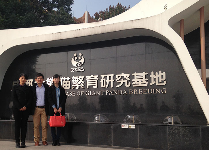 A collaboration between Chengdu Research Base of Giant Panda Breeding ...