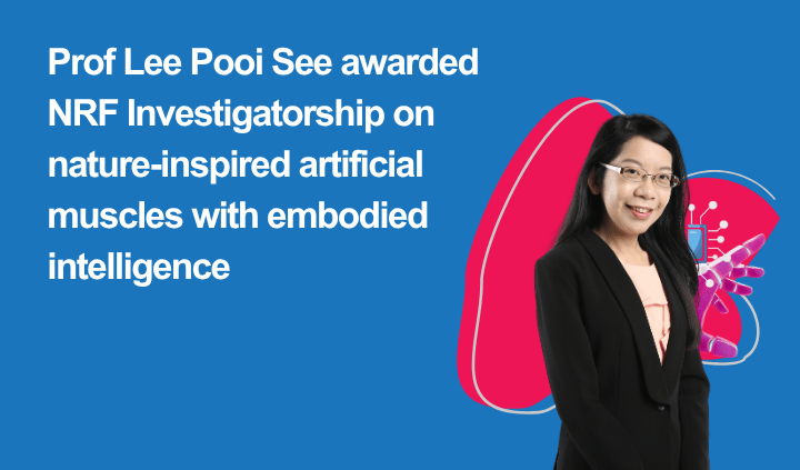 Prof Lee Pooi See awarded prestigious NRF Investigatorship to pioneer ...