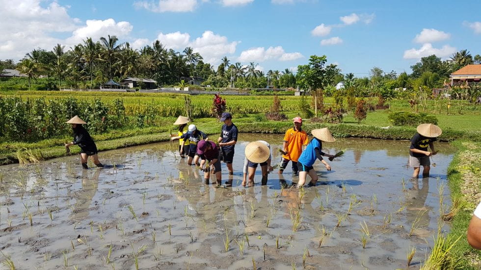 Why Science@NTU? – School Spotlight: Asian School of the Environment ...